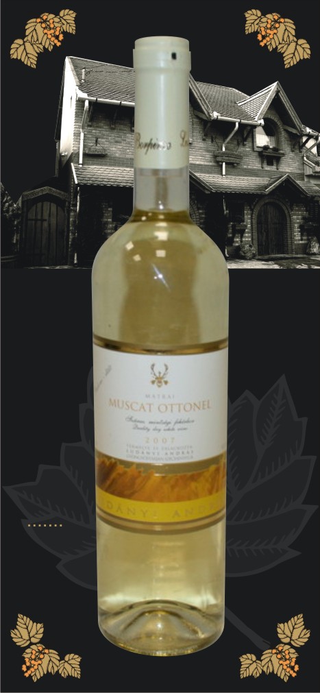 Muscat Ottonel - JungleKey.com Wiki